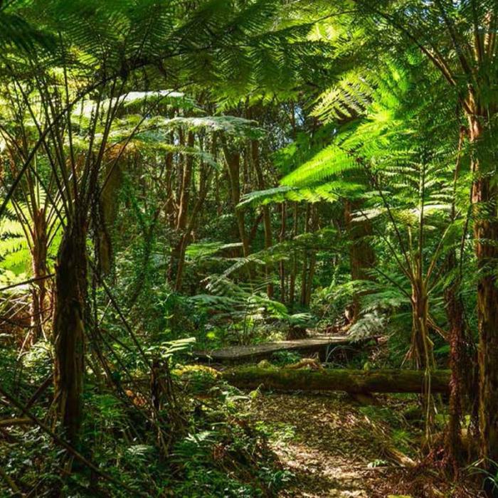 SCEC needs your help