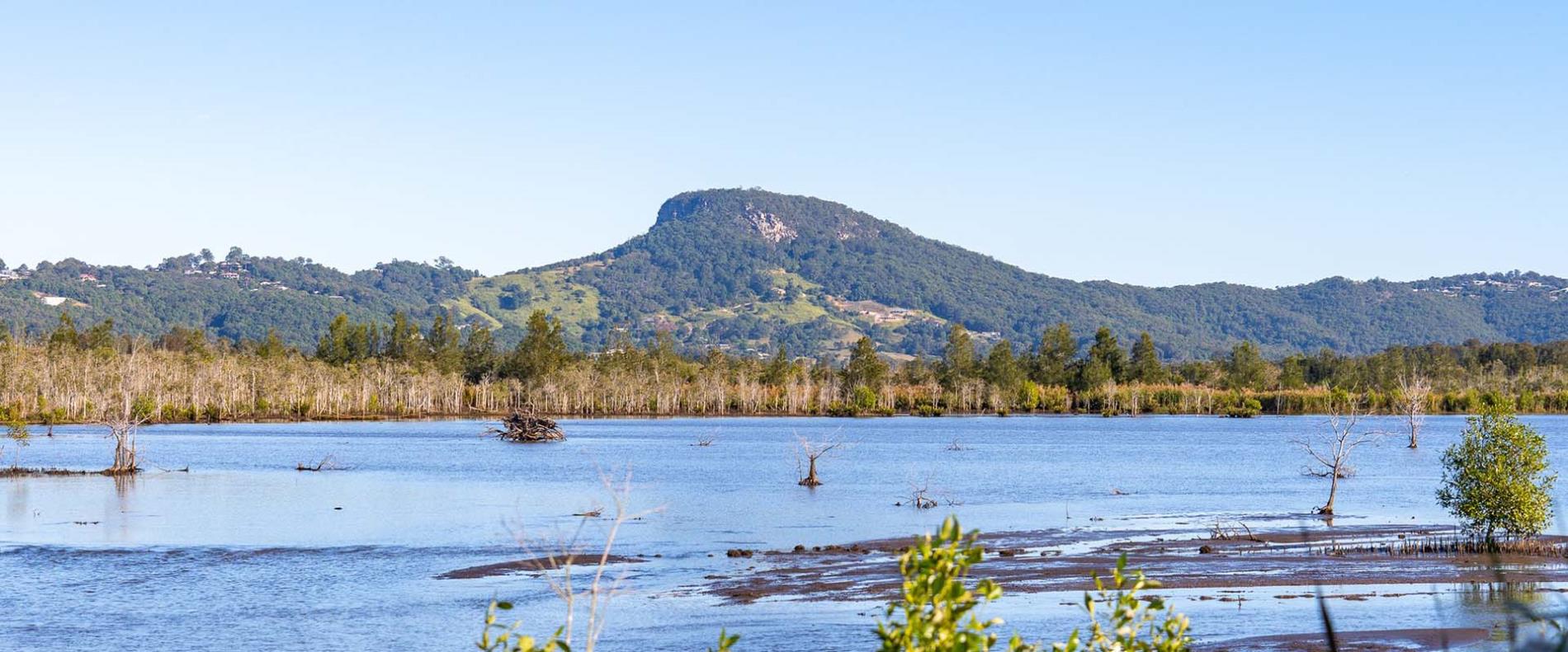 Contact SCEC, Sunshine Coast Environment Council